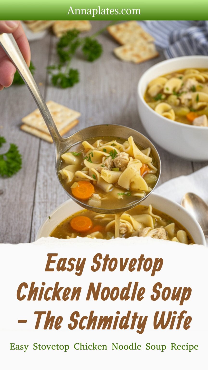 Easy Stovetop Chicken Noodle Soup Recipe – Anna Plates